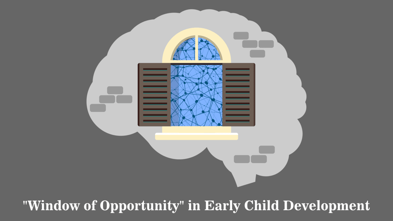 Window of opportunity in early child development - CognitoBox